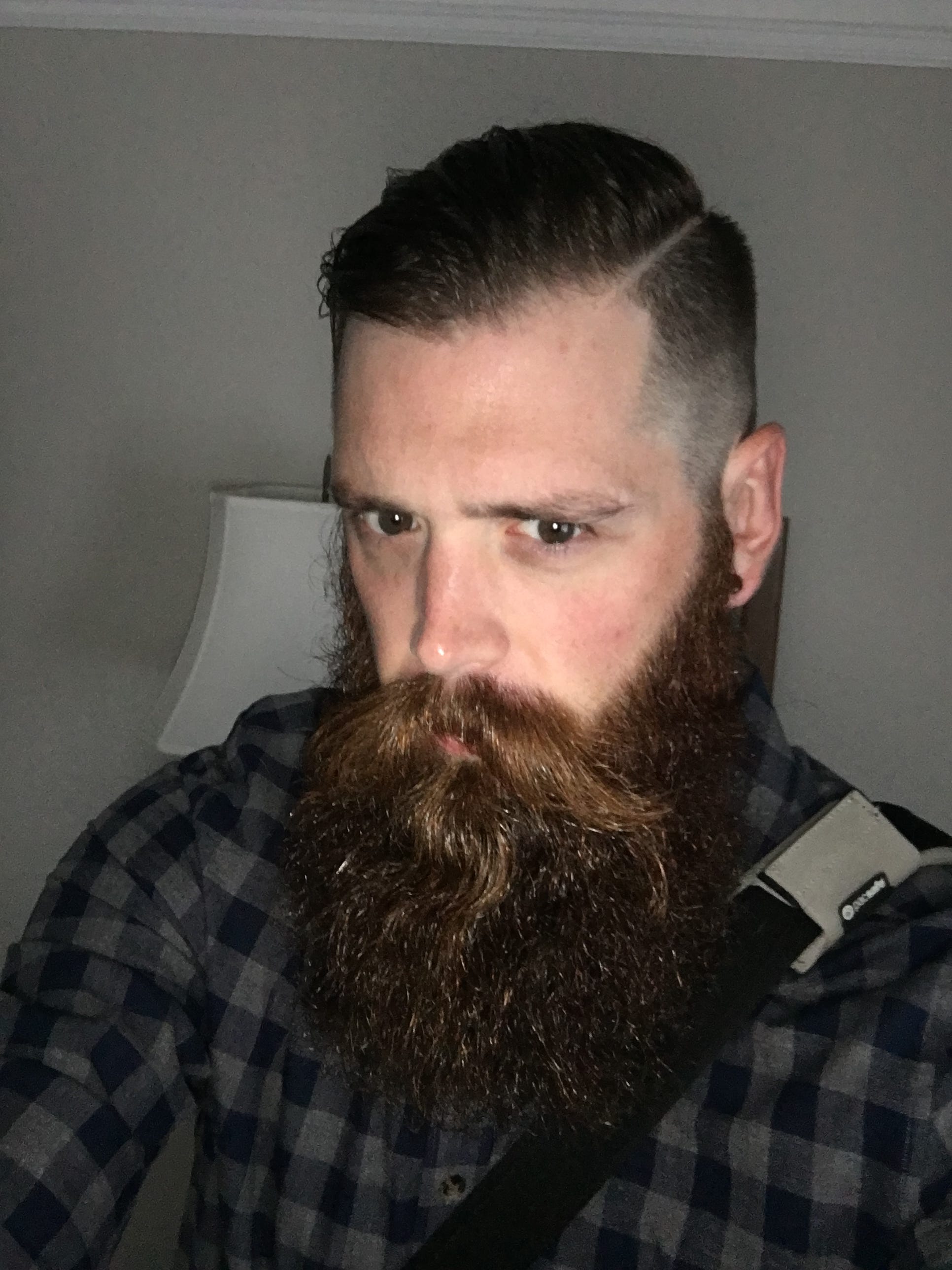 Paul Ditty – Medium