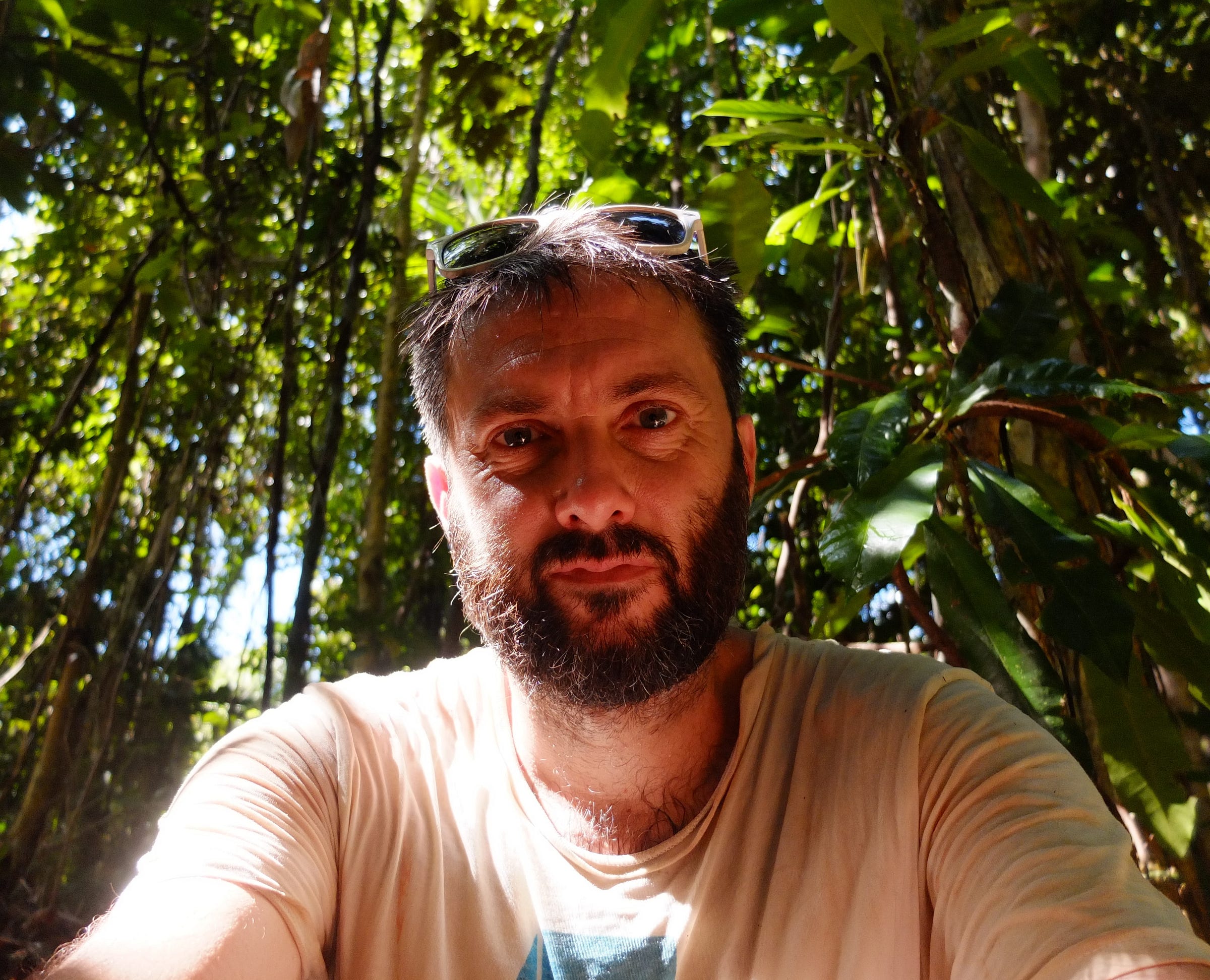 Nathan Whitmore – Medium