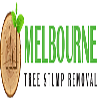 Melbourne Stump Removal – Medium