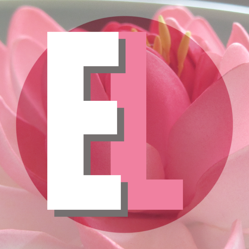 Enlightened Lotus – Medium