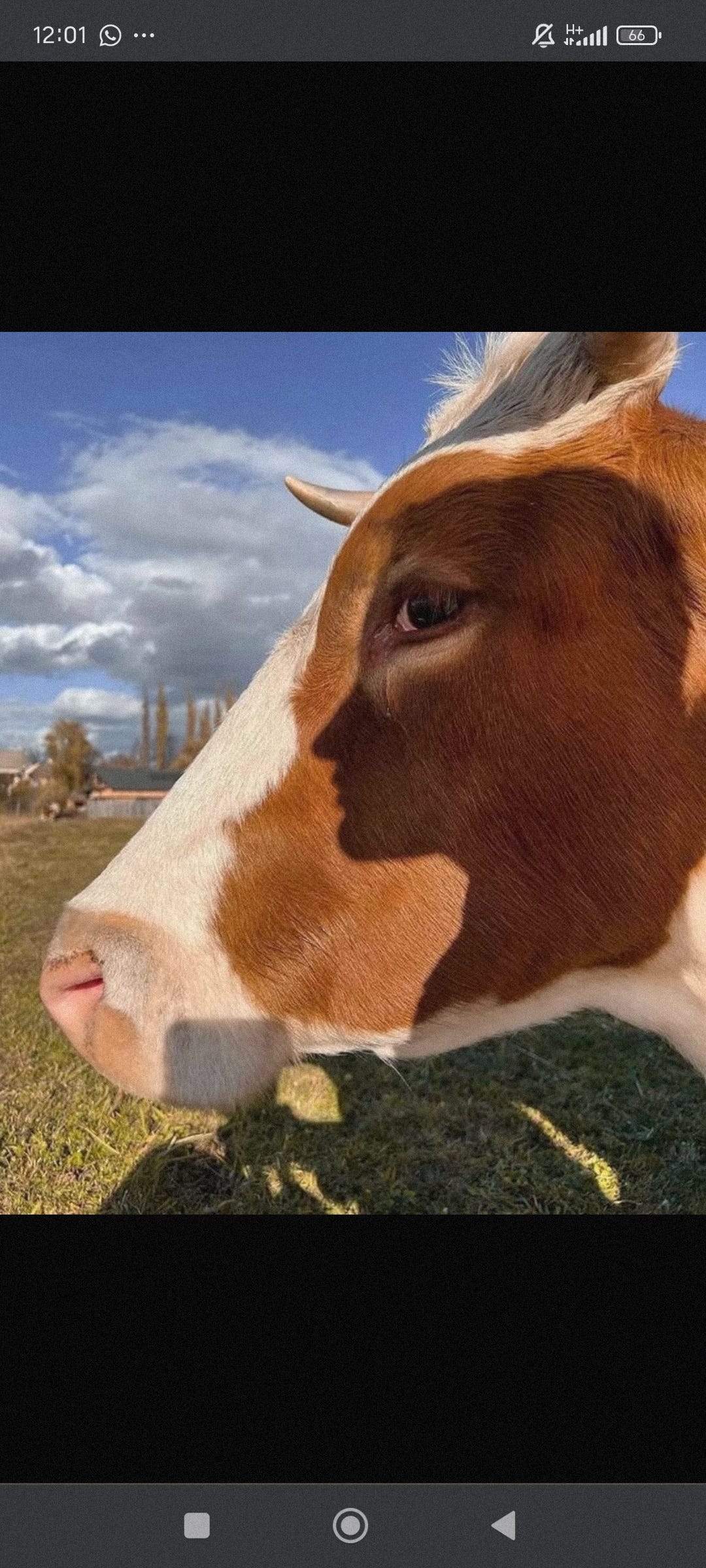 Temi Oluwagbemiga – Medium