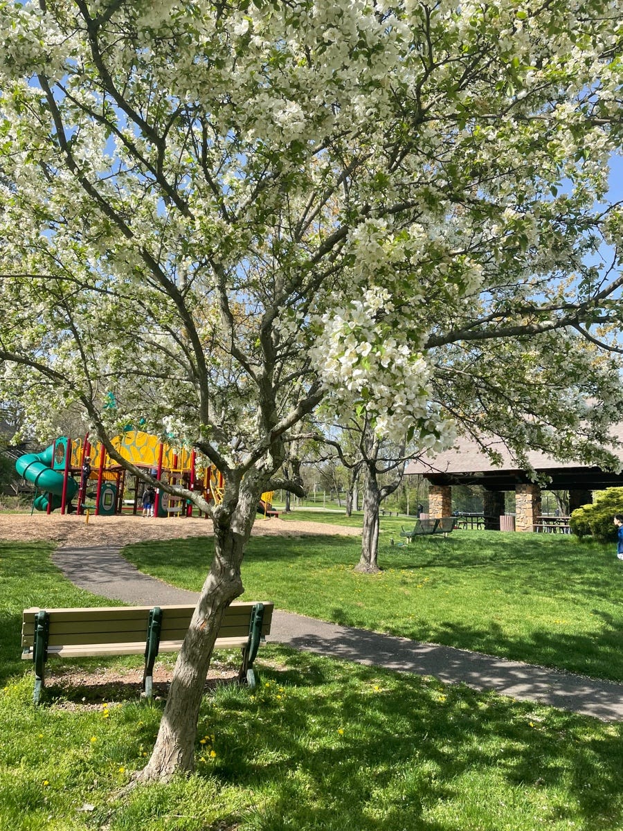 tanisha s. – Medium