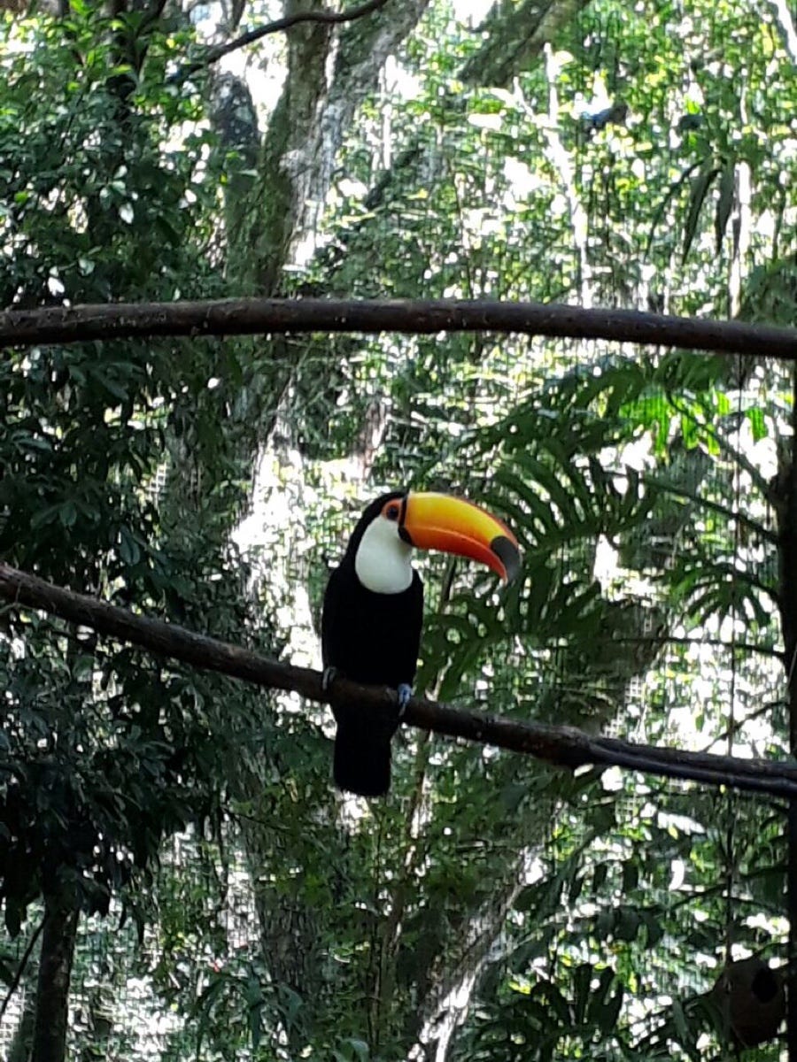 Filipe Waridel – Medium