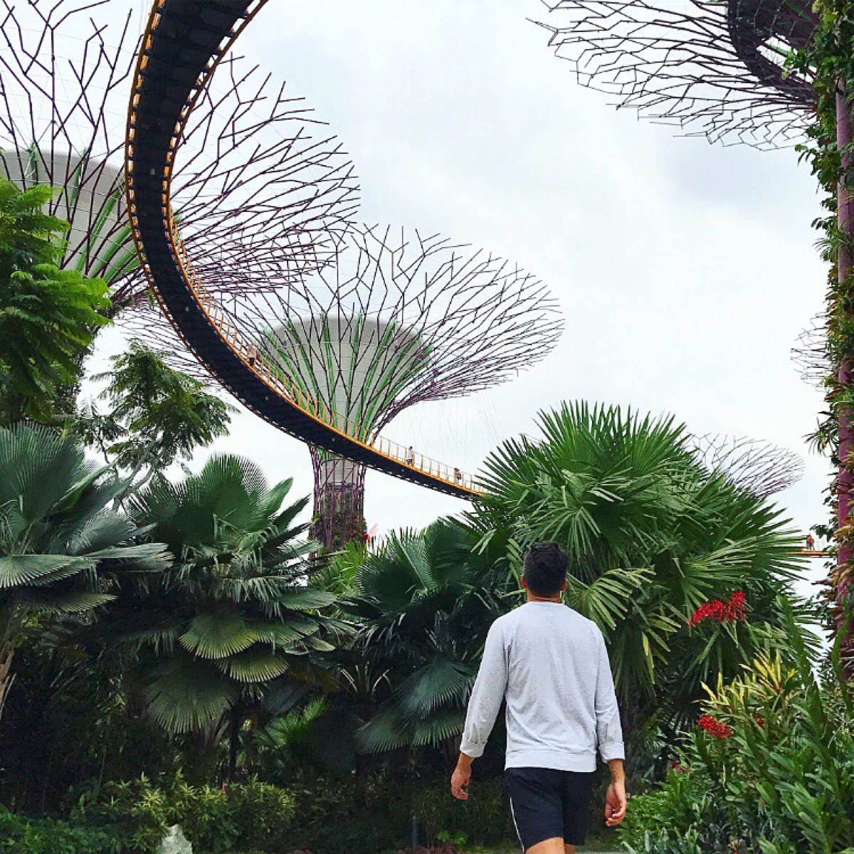 Diego J. Dubois – Medium