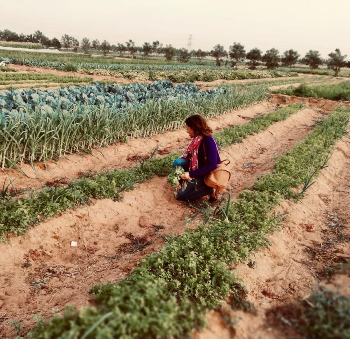 Lamiaa Soliman – Medium