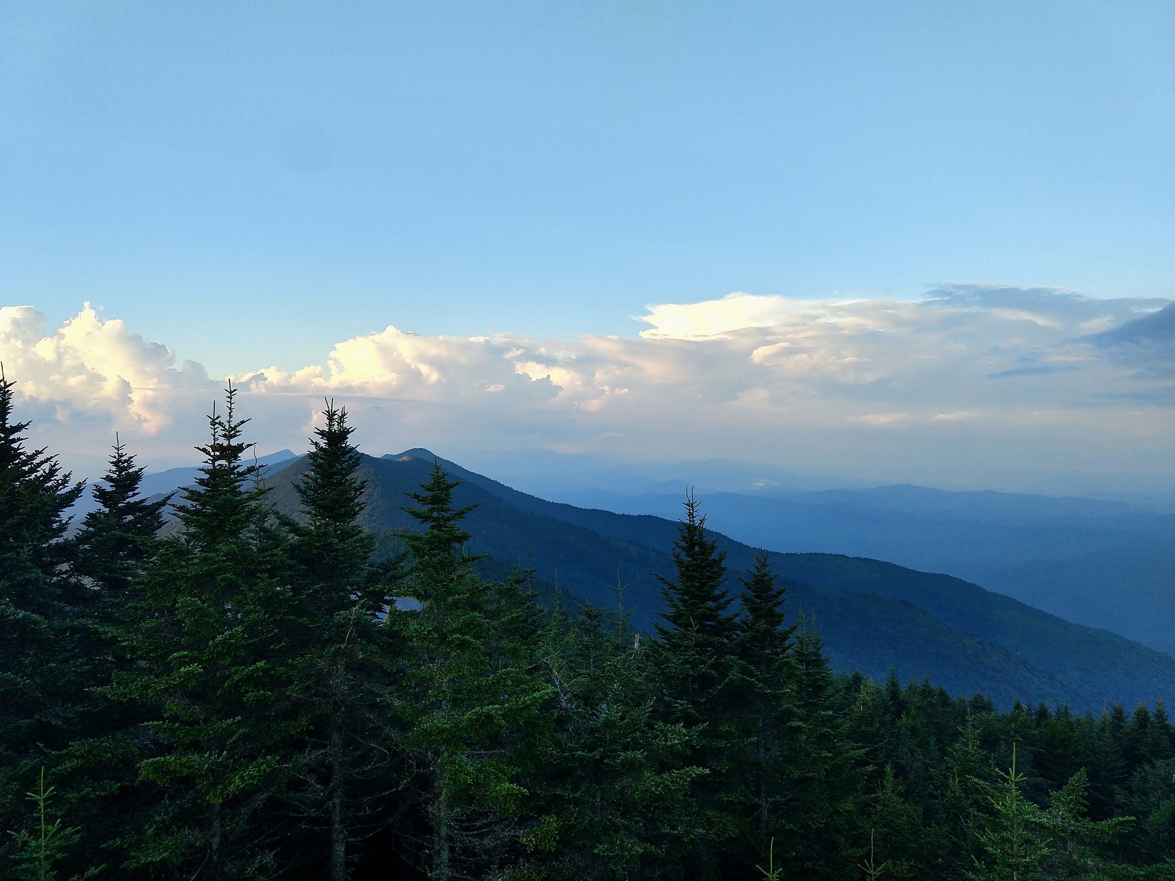 I Shouted But It Stayed – Medium