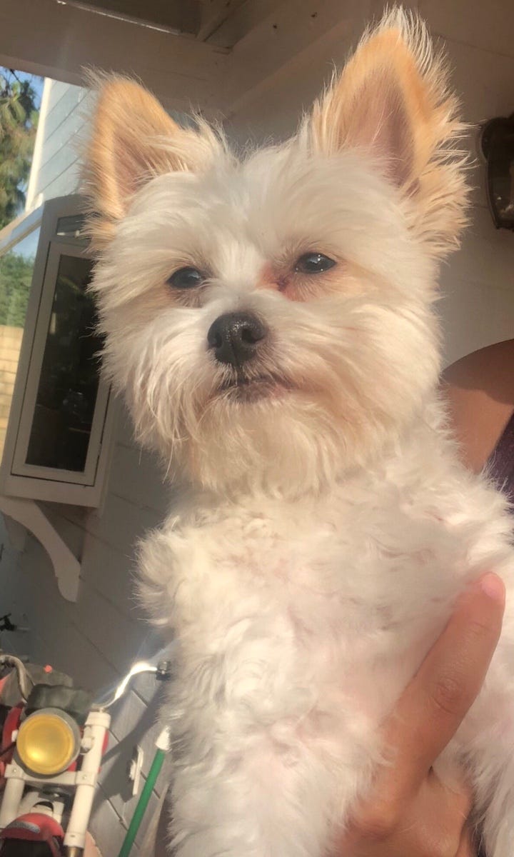 Kaitlin Salzberg – Medium