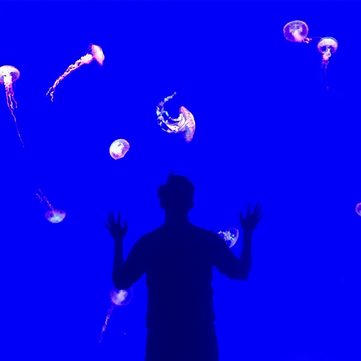 Edwin Suryadi Halim – Medium