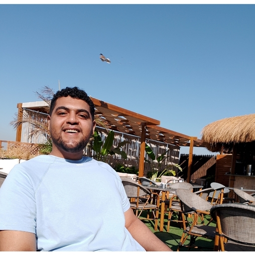 Mahmoud M. Hefnawy – Medium