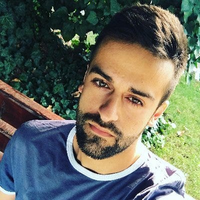 Dan Ungureanu Haiduc – Medium