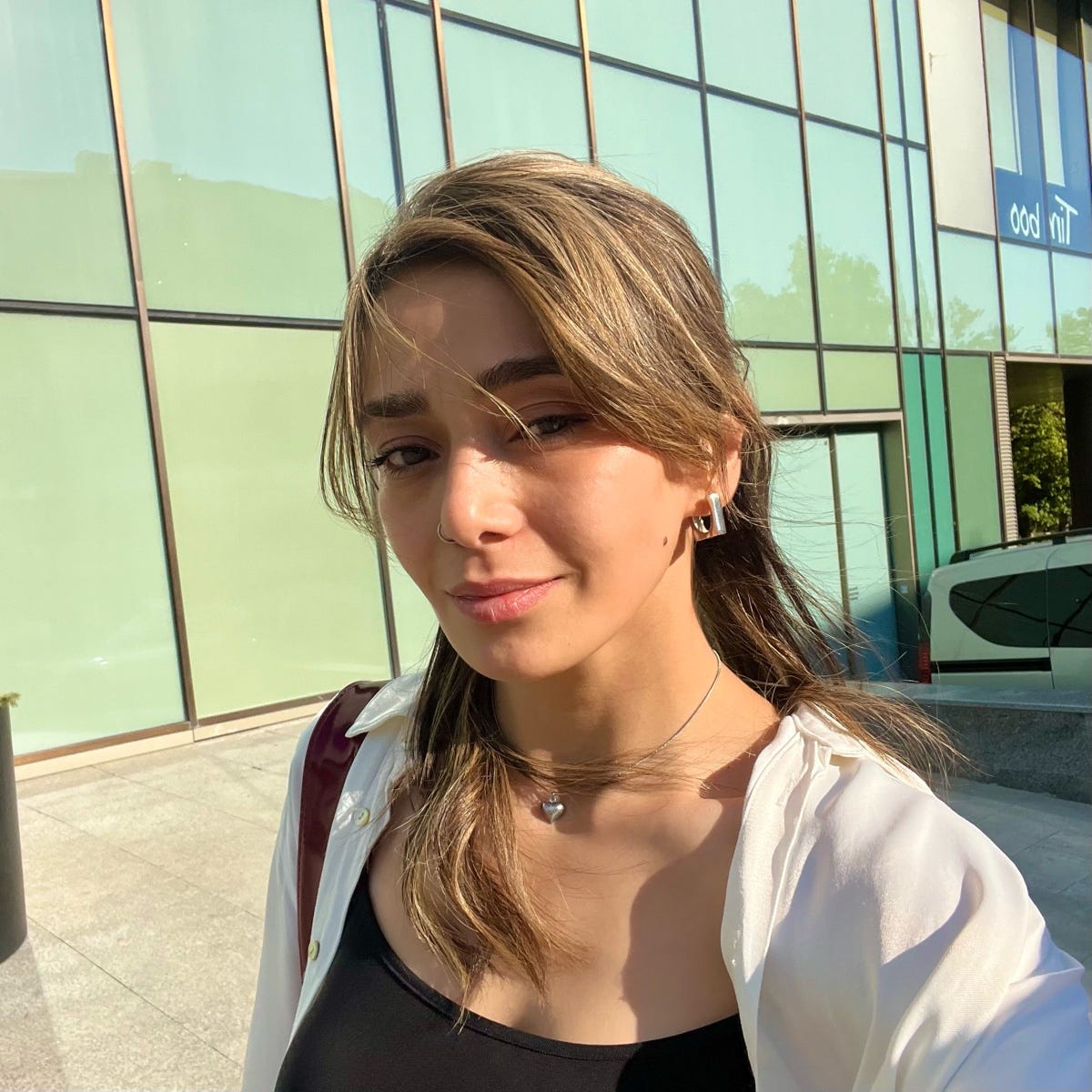 Fatma Ceyda Yıldız – Medium