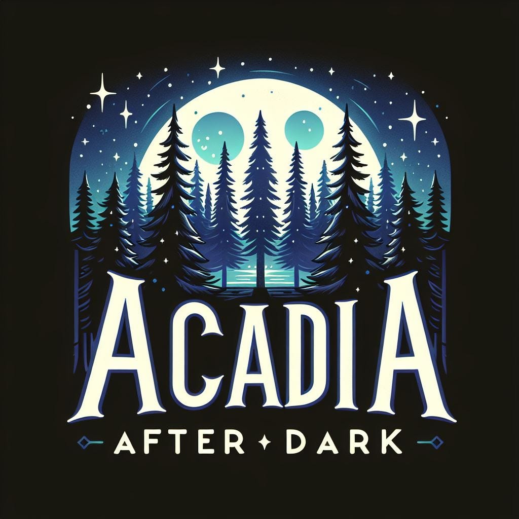 Acadia After Dark – Medium