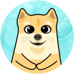 SHIBU – Medium