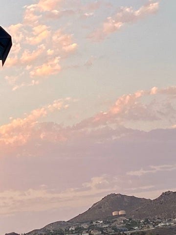 The Beauty Bean Medium