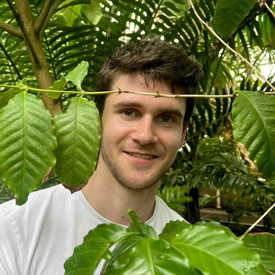Ross Perkin – Medium
