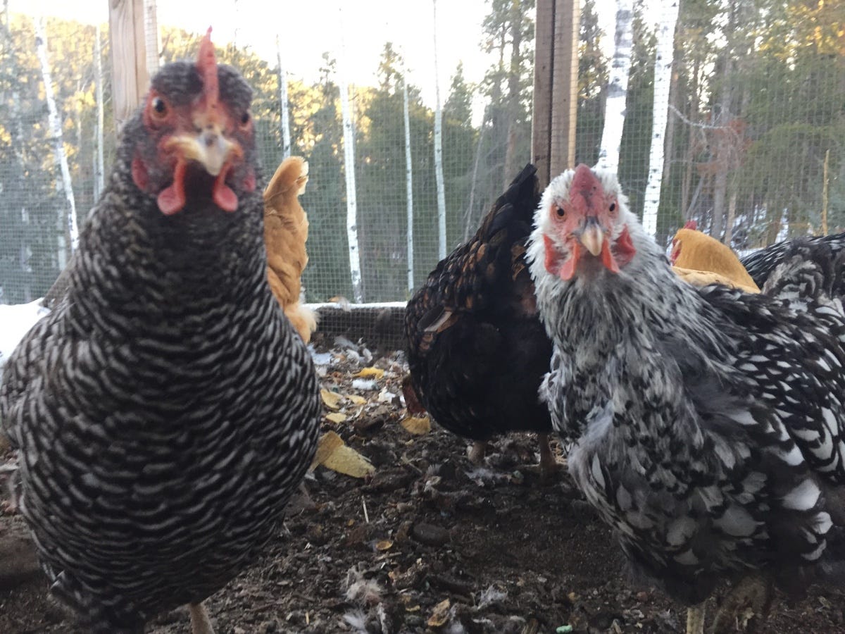 Mike Bowlin – Medium