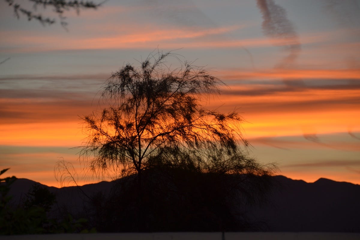 Nova Vale on Medium curated some lists