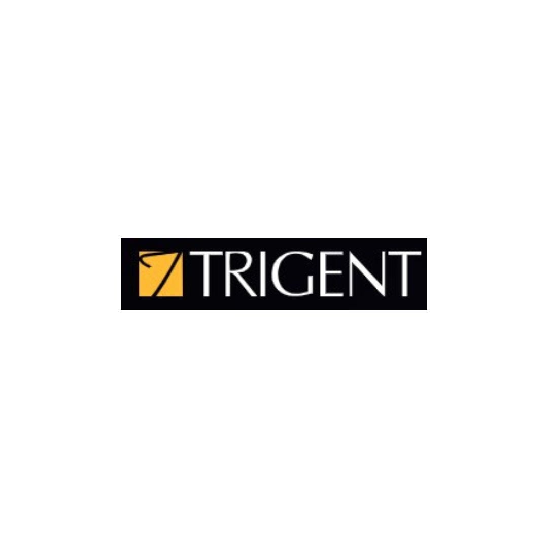 Trigent Software – Medium