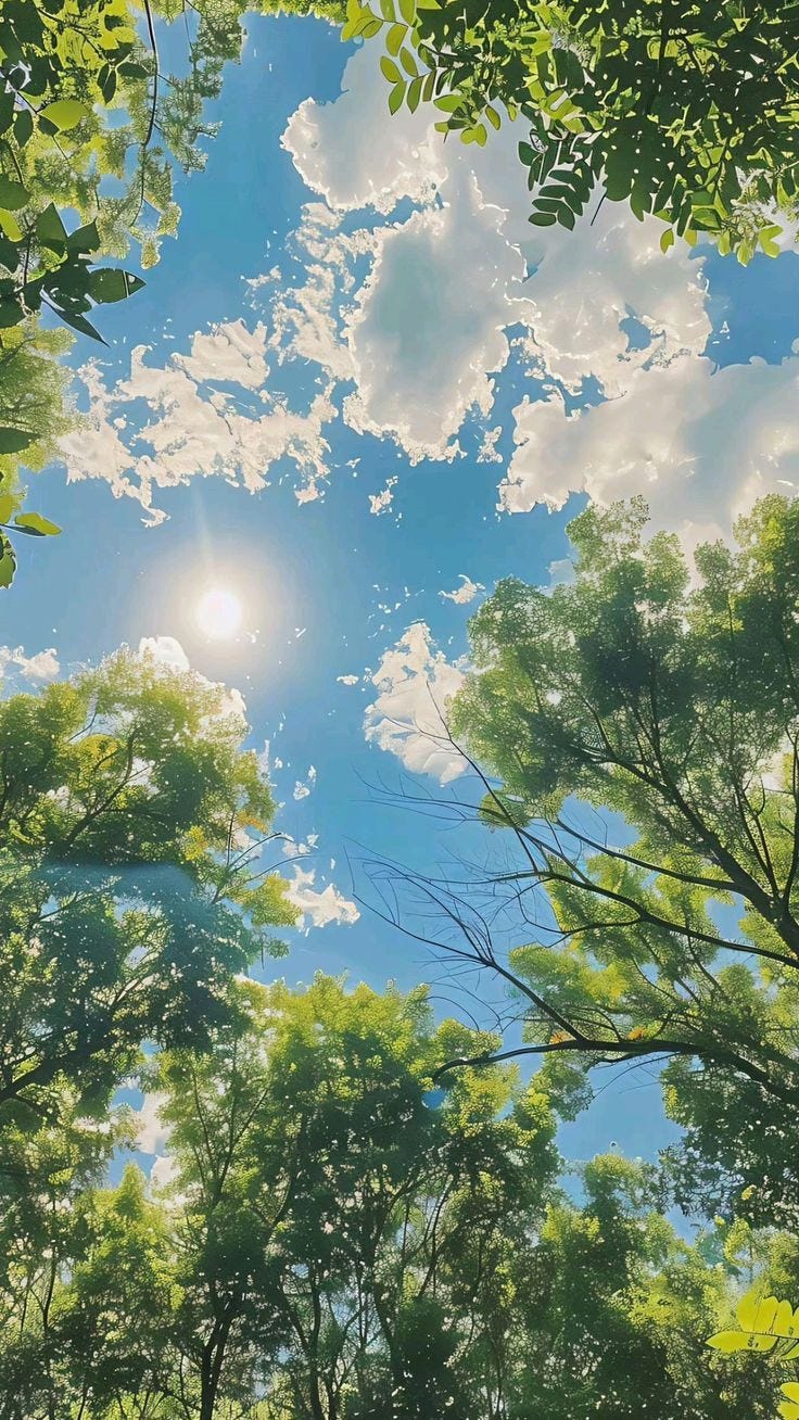 About – she is a poet – Medium