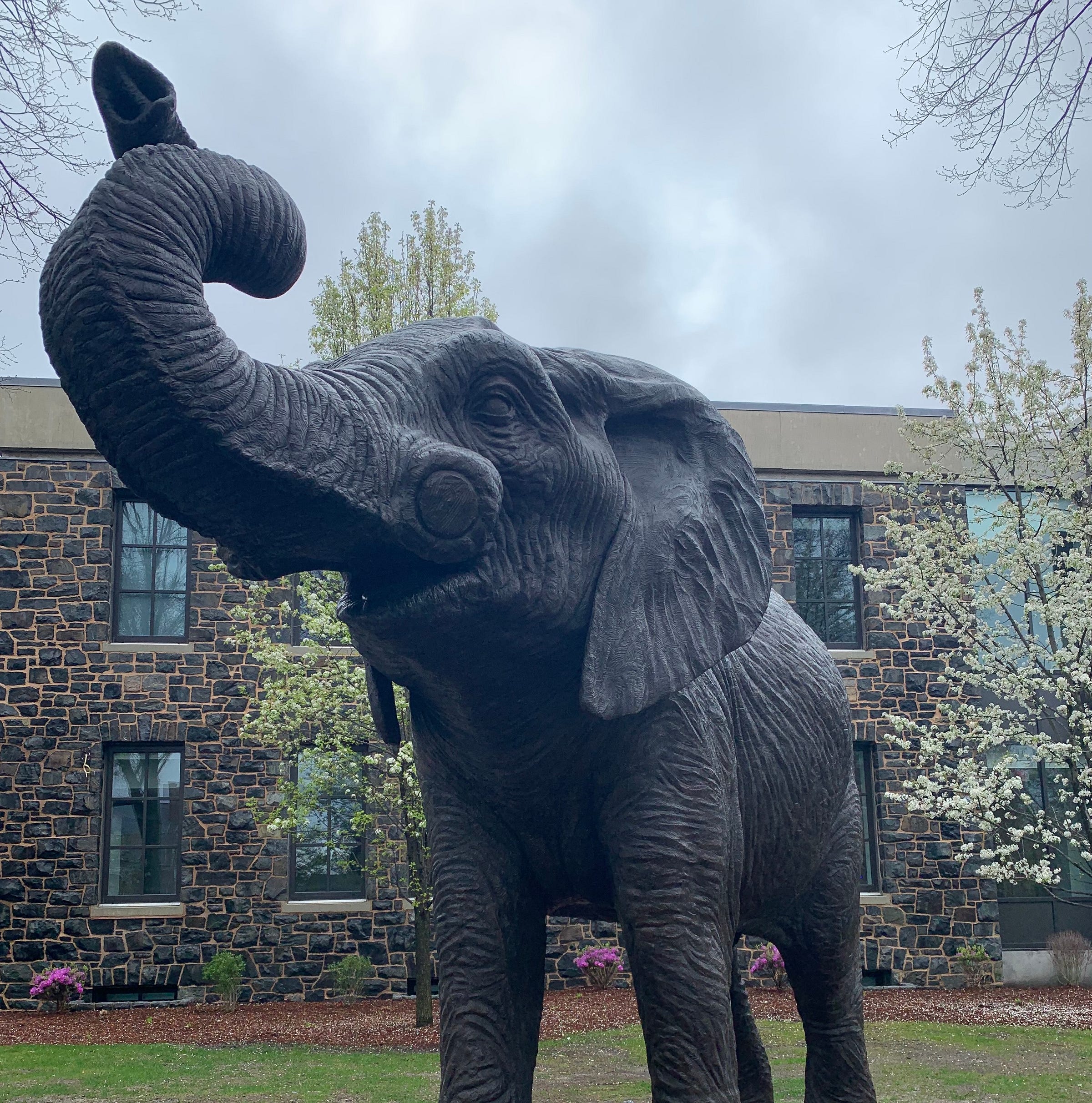 About – Tufts Public Opinion Lab – Medium