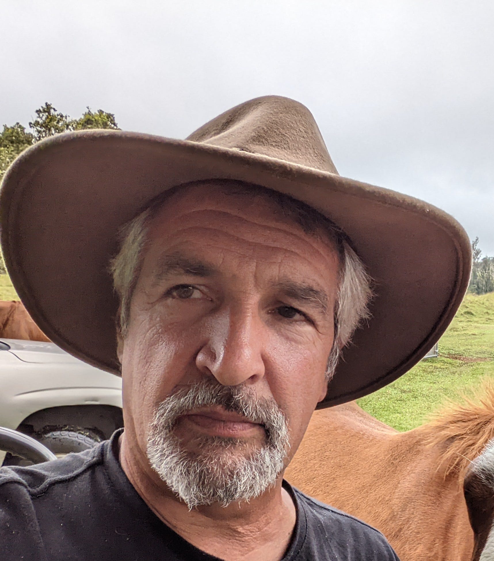 Joe Scarola – Medium