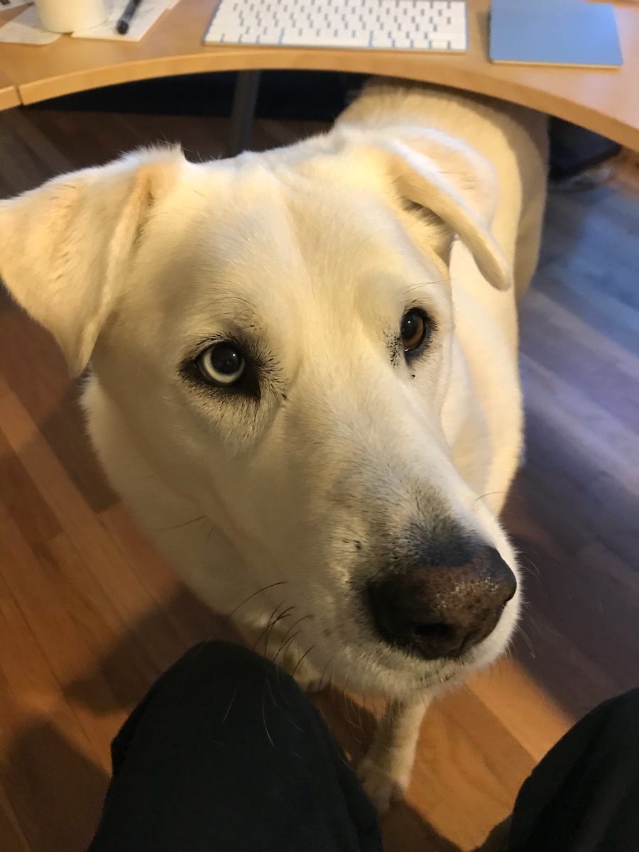 Steve Bogner – Medium