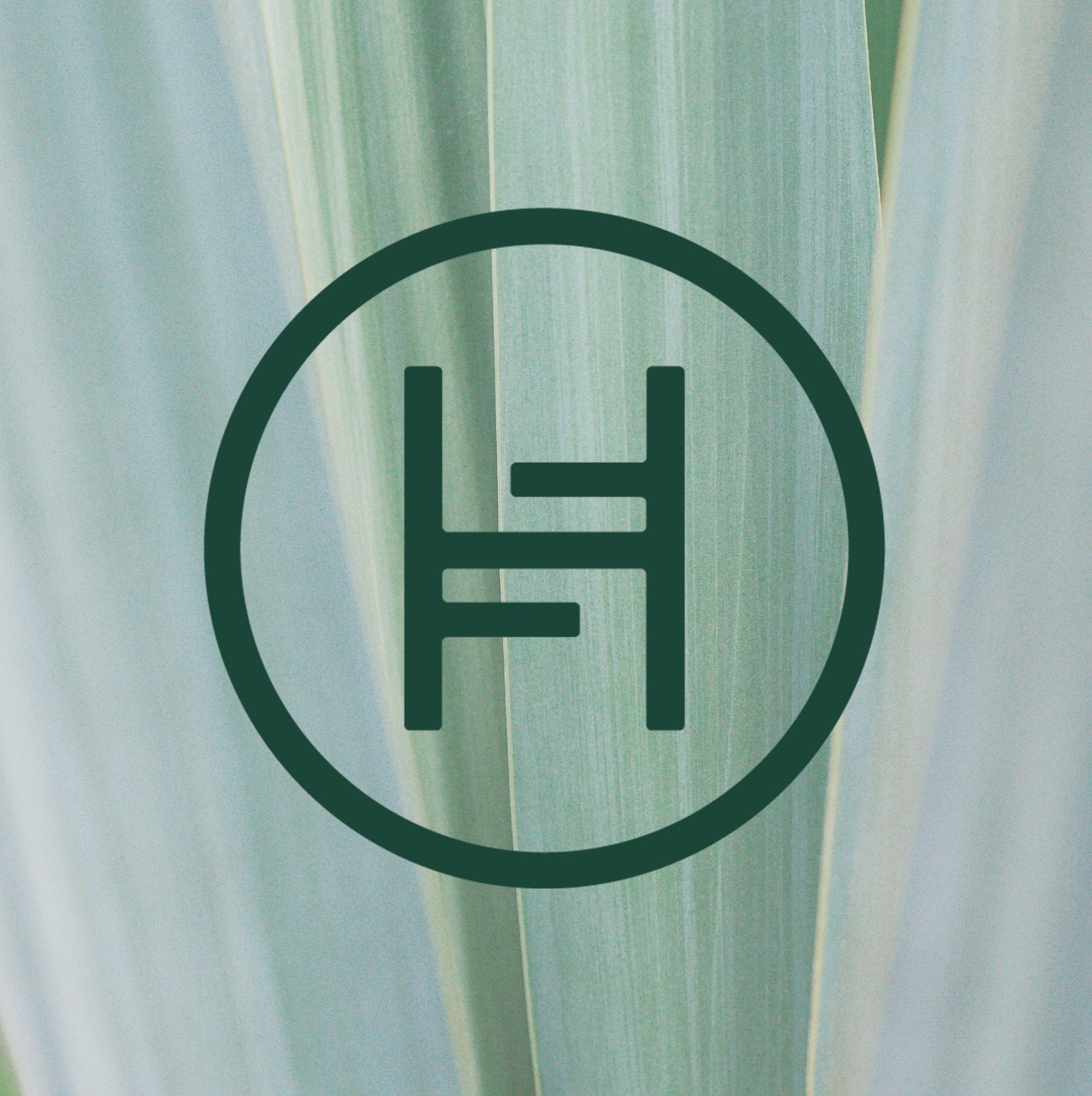 Harmony Movement – Medium