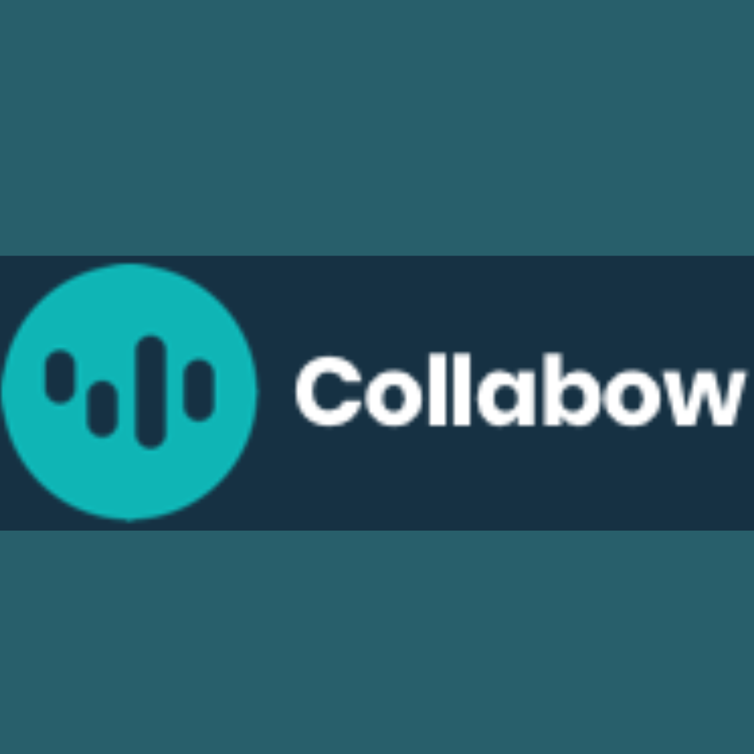 Colla Bow – Medium