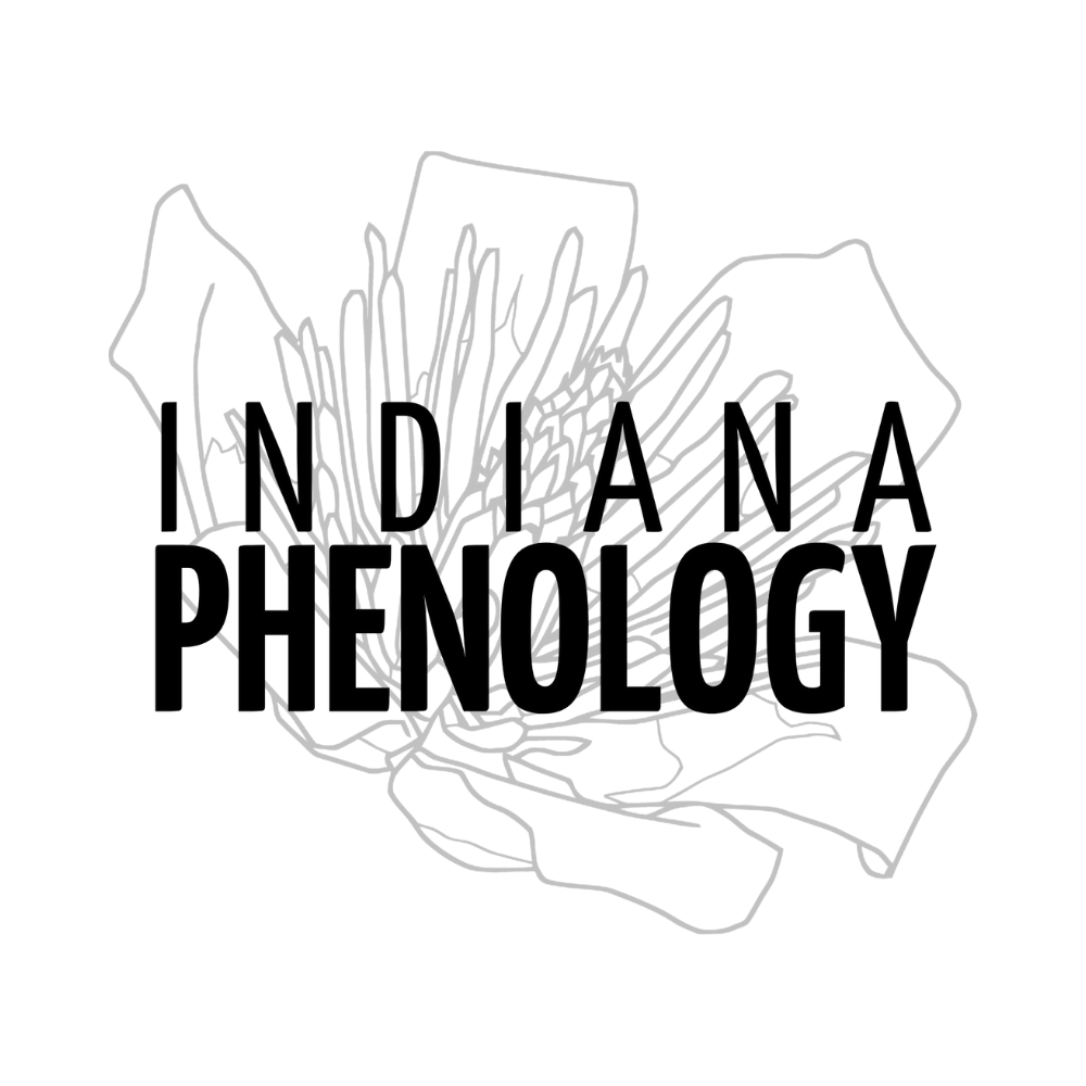 About – Indiana Phenology – Medium