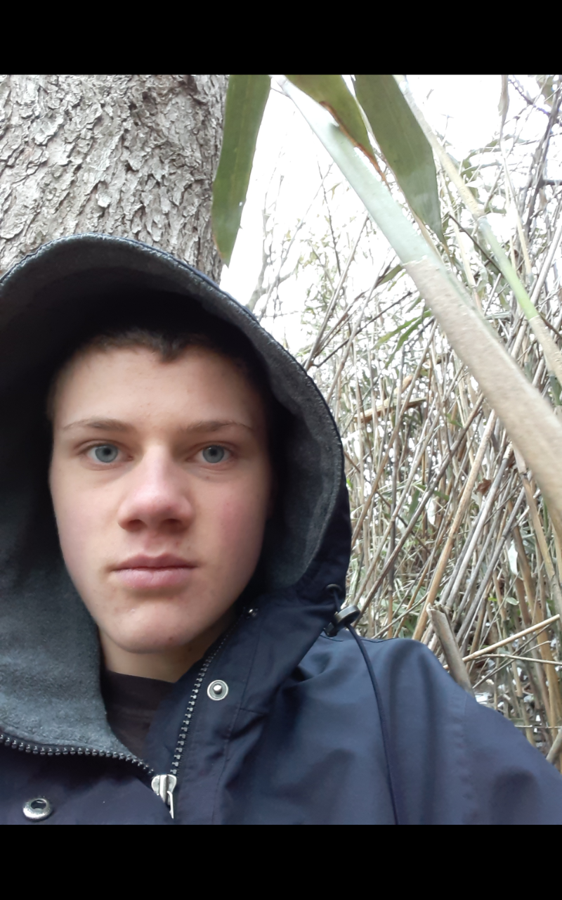 Daniel Pate – Medium