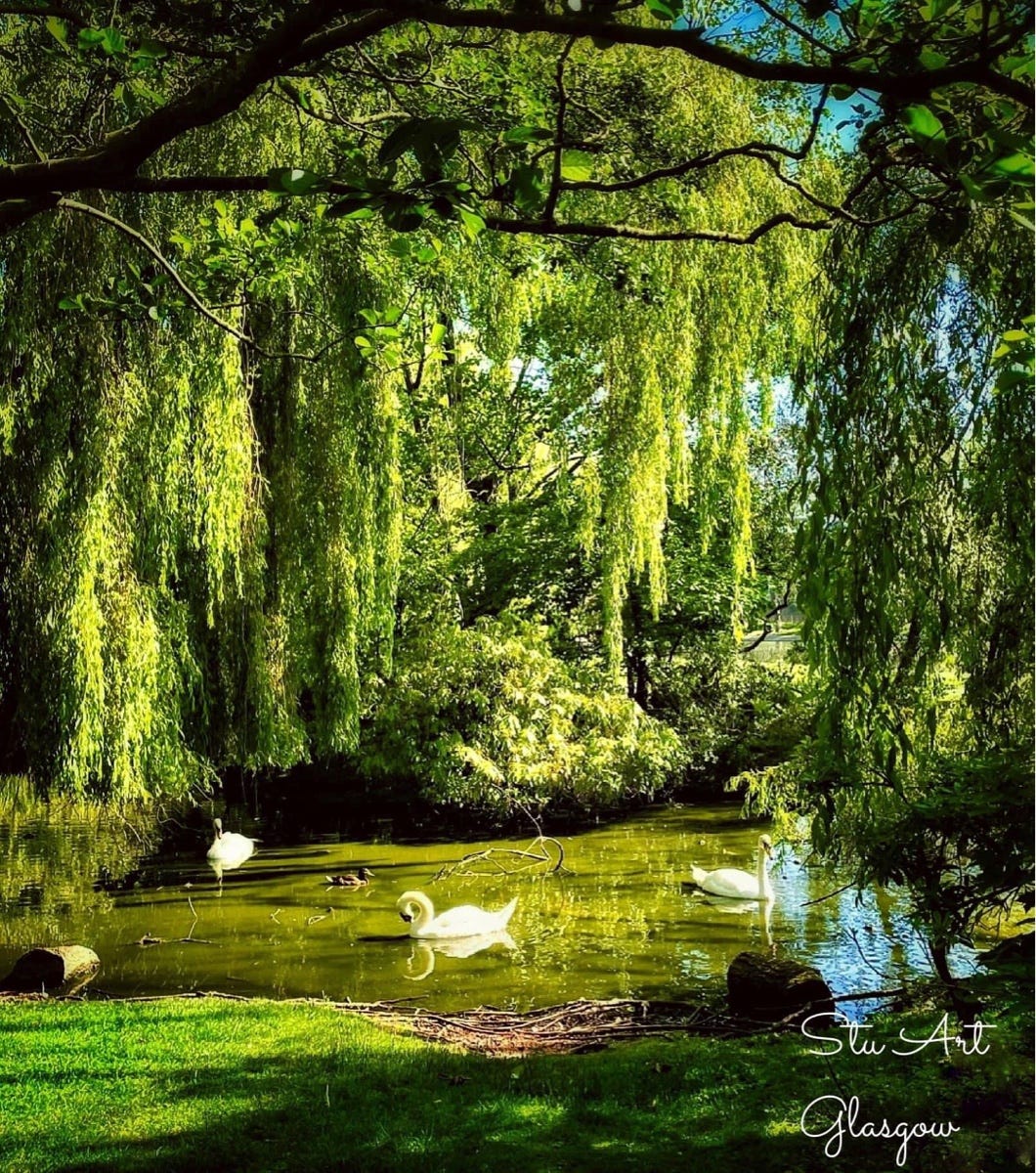 About – Michelle – Medium