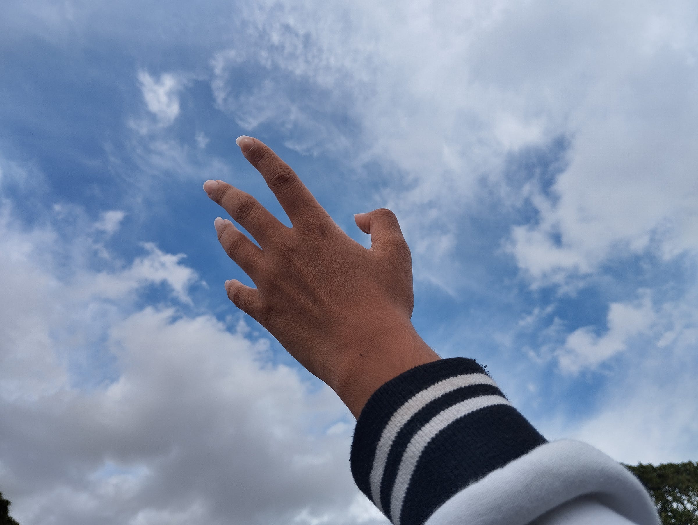 Fatma Sdiri – Medium