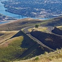 Terrence Young on Medium curated some lists