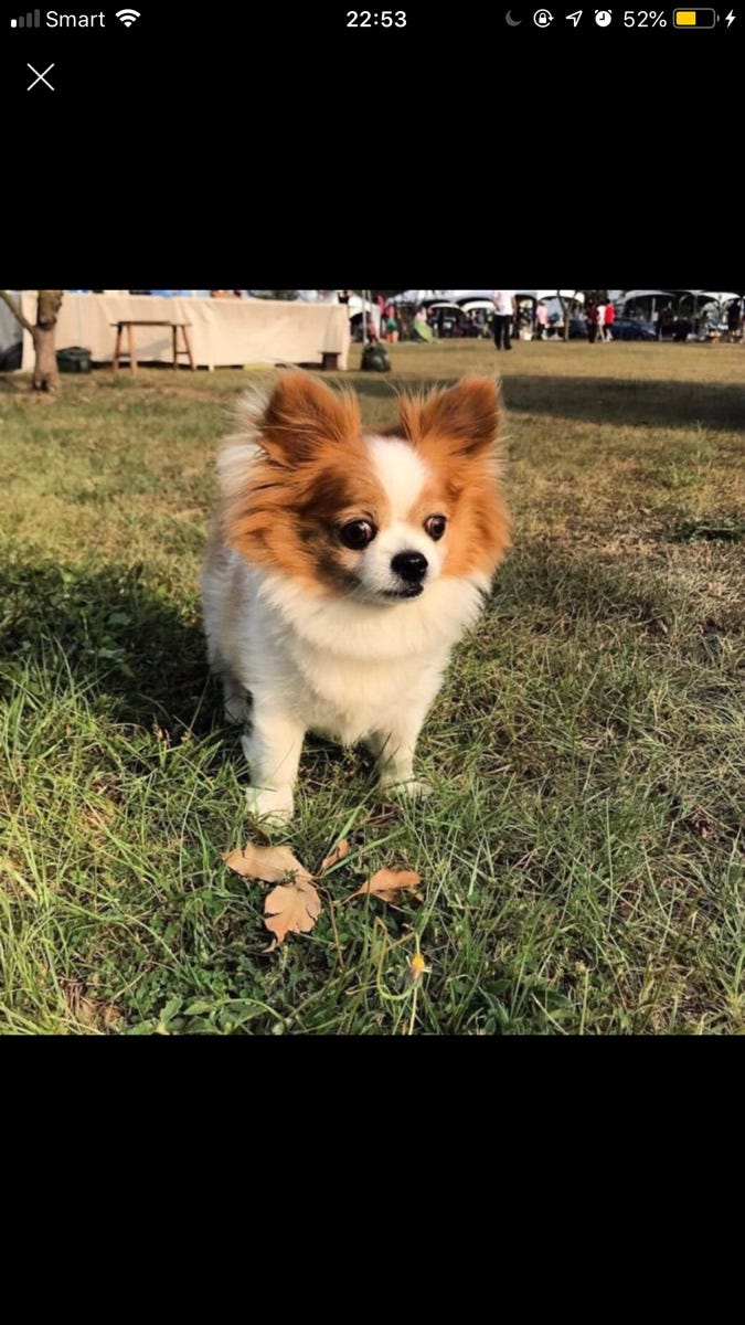 Nikky YC Lin – Medium