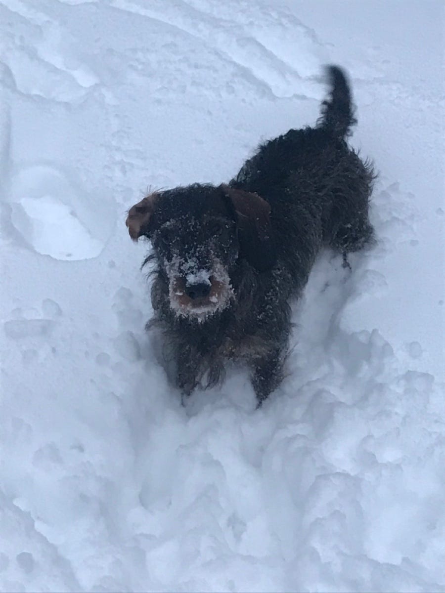 Jan Klaus – Medium