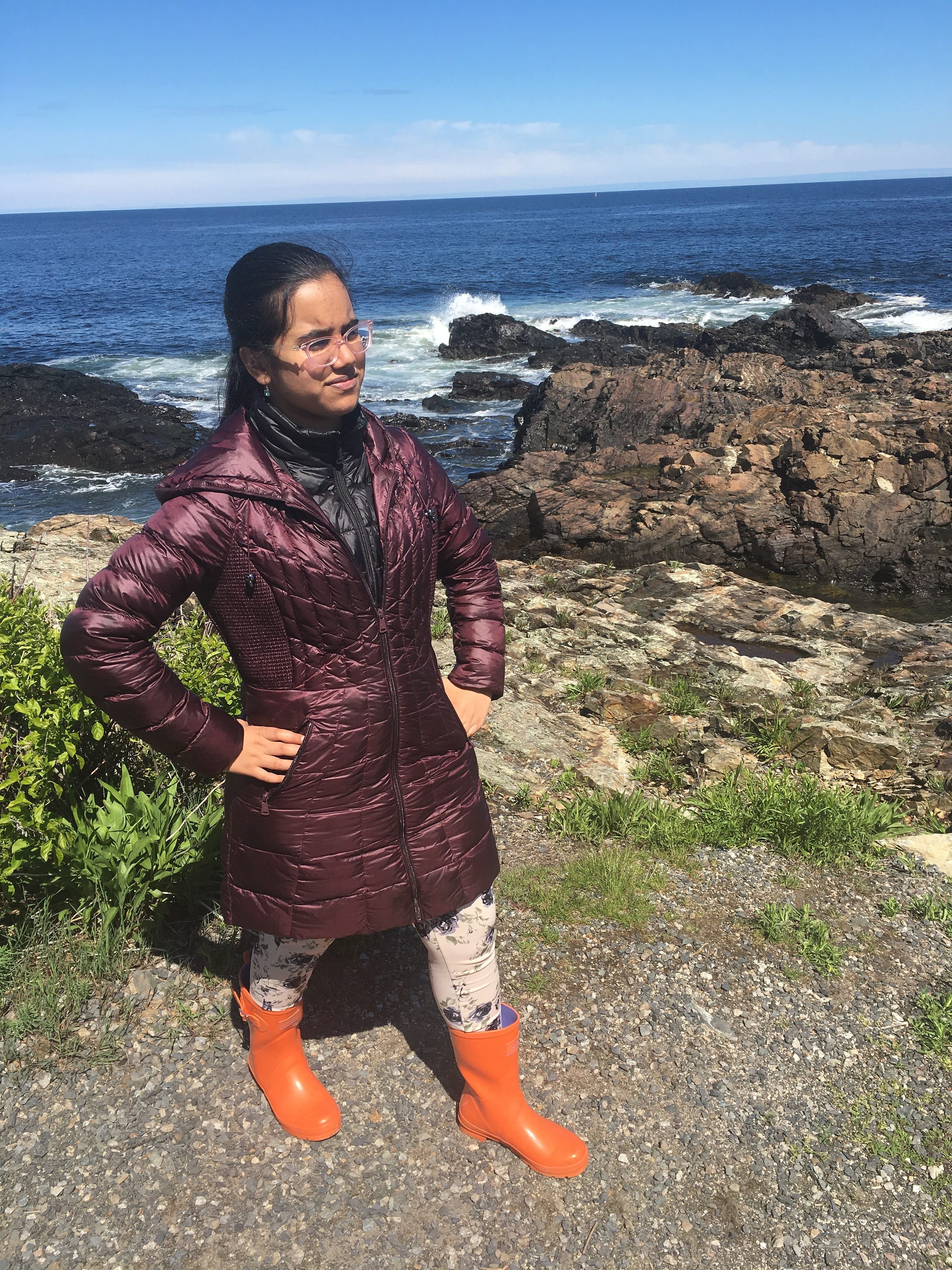 Indira Roy – Medium