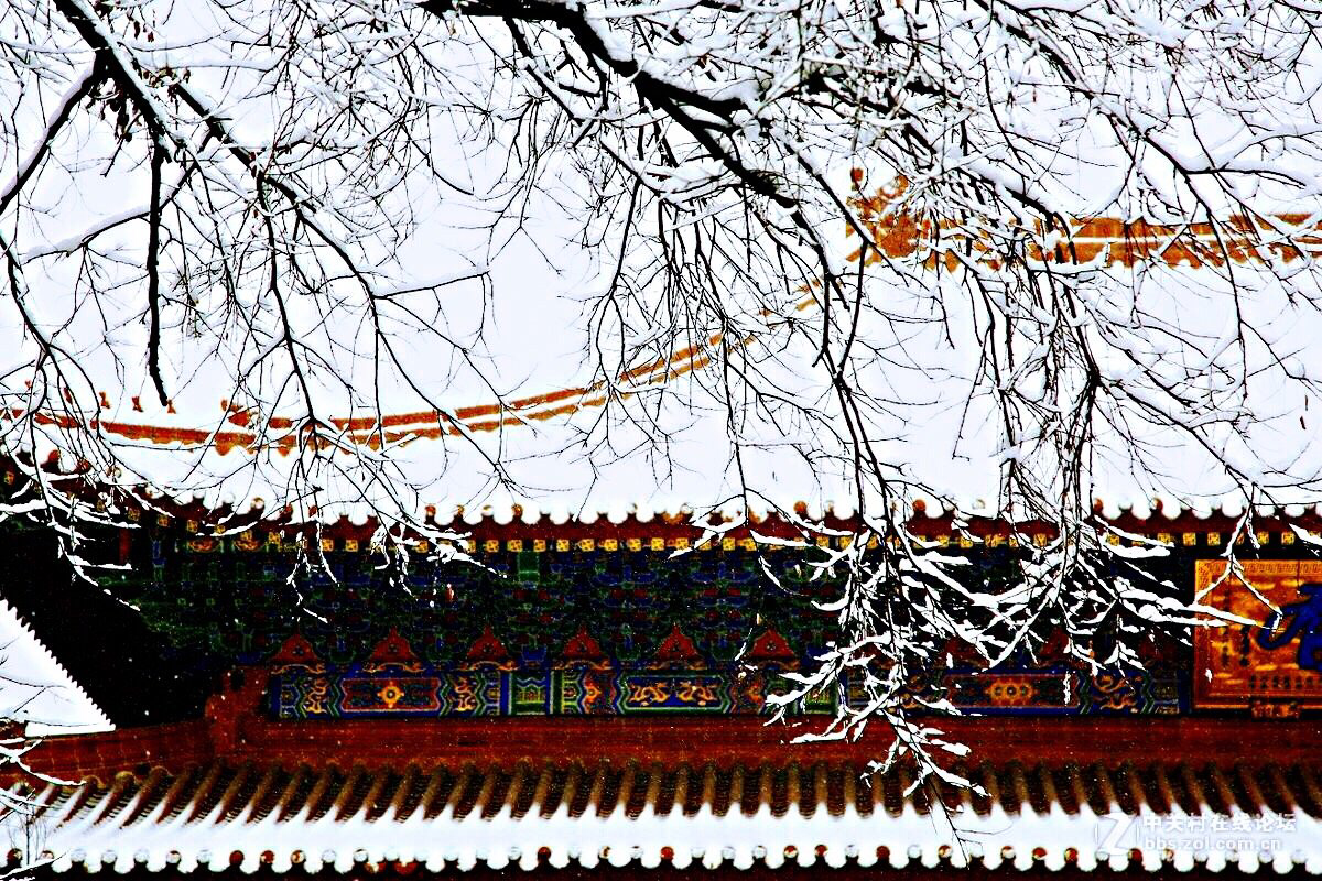Ruiwen Lin – Medium