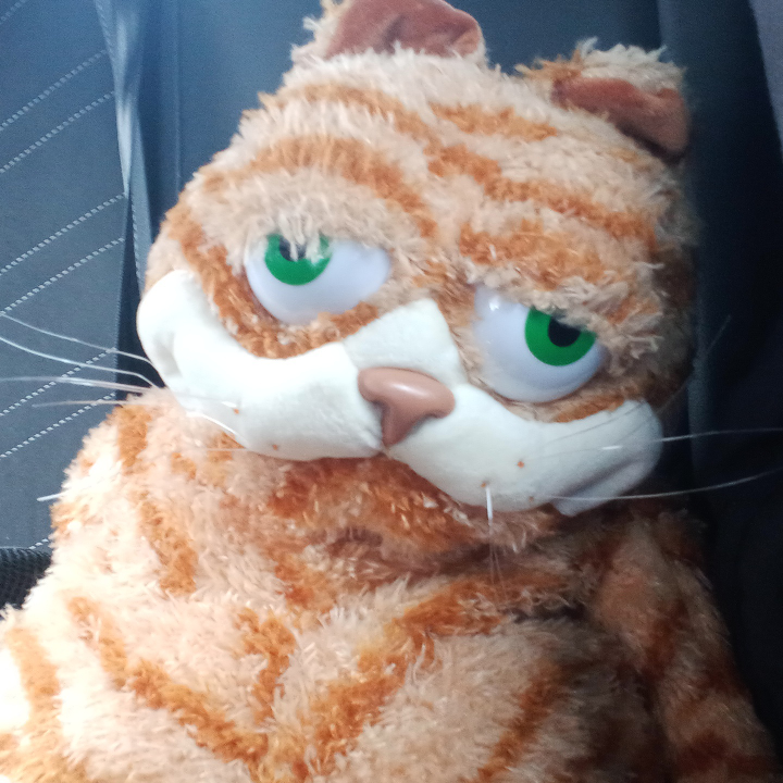 CRACKED OUT GARFIELD – Medium
