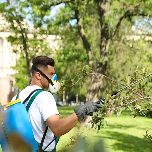 Gate City Tree Service – Medium