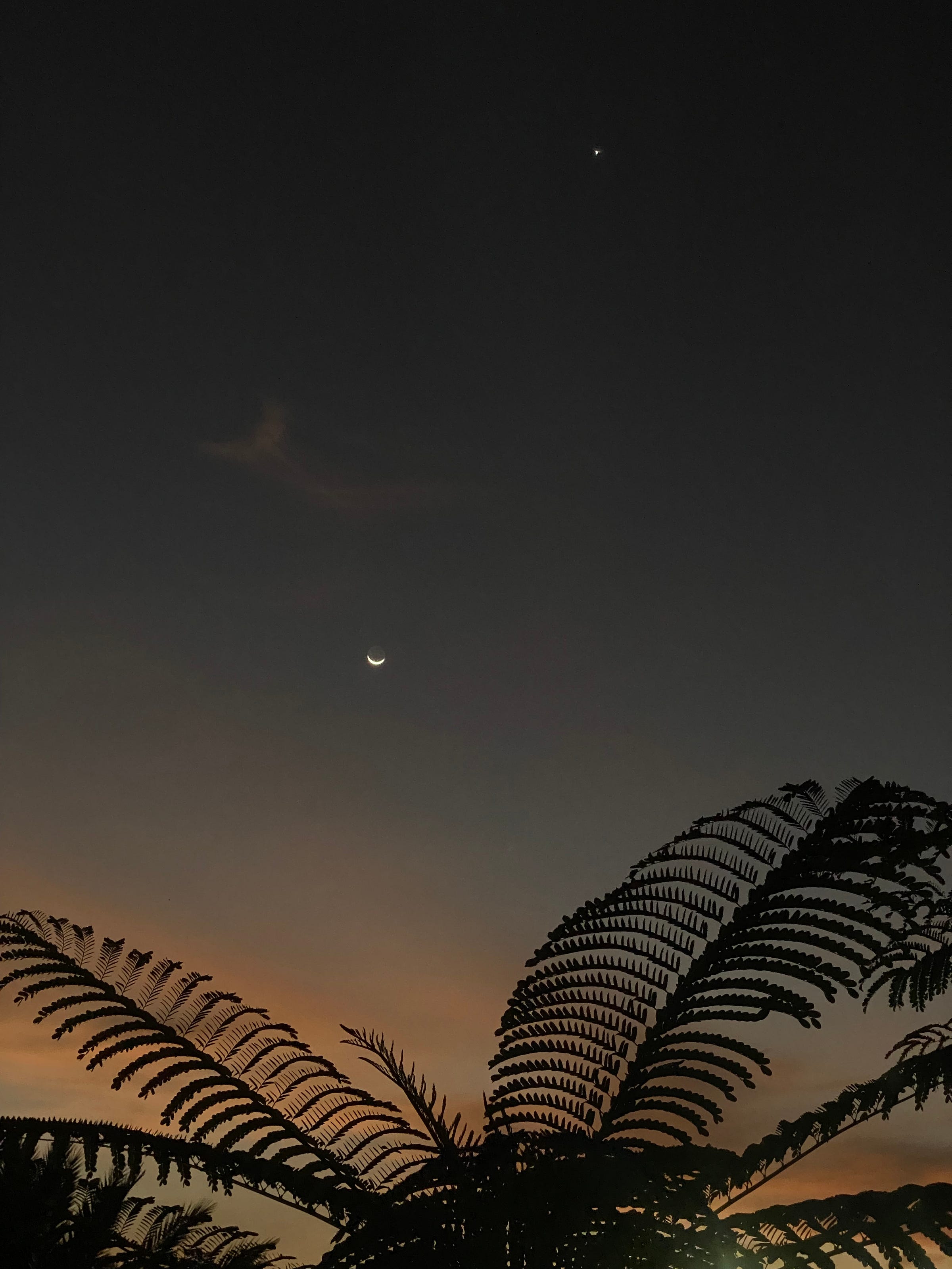 Tha’s story – Medium