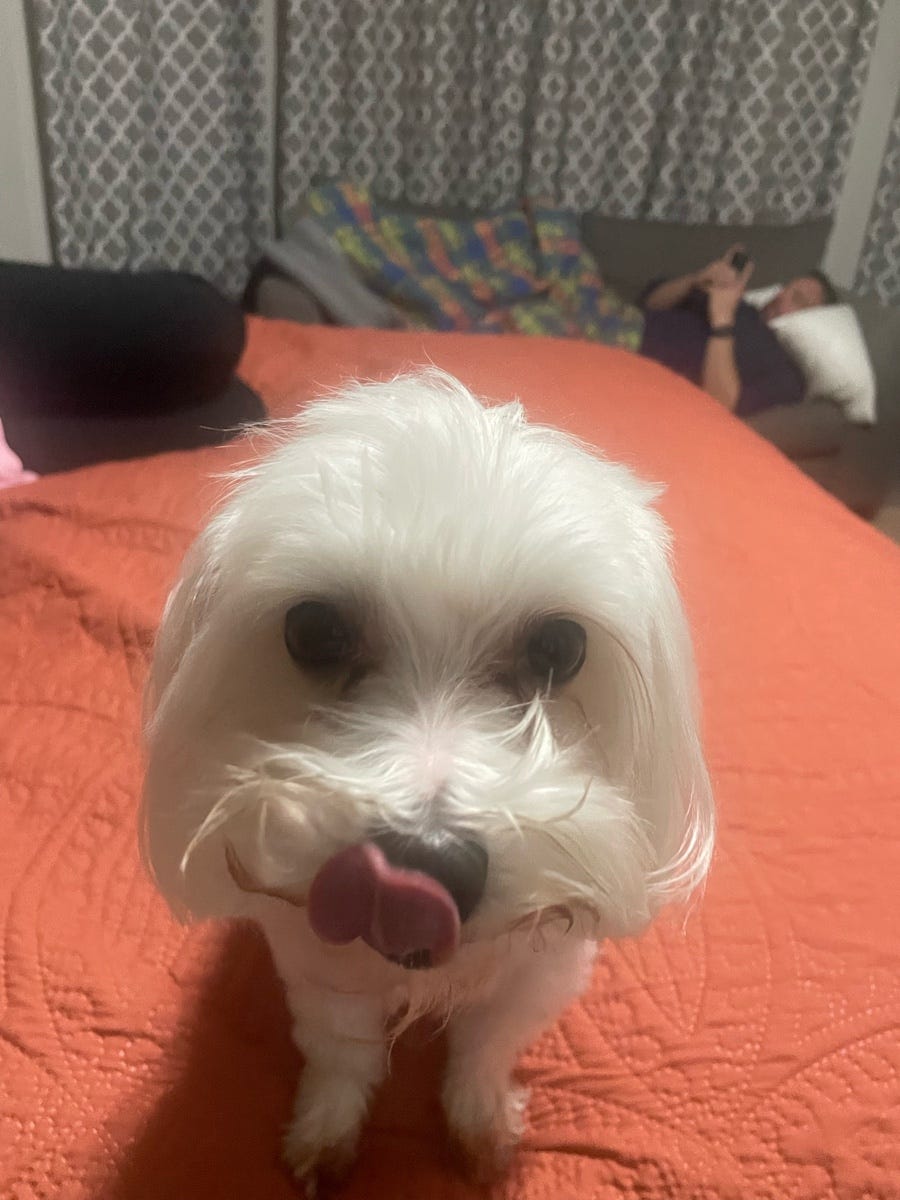 bailey grafmiller on Medium curated some lists