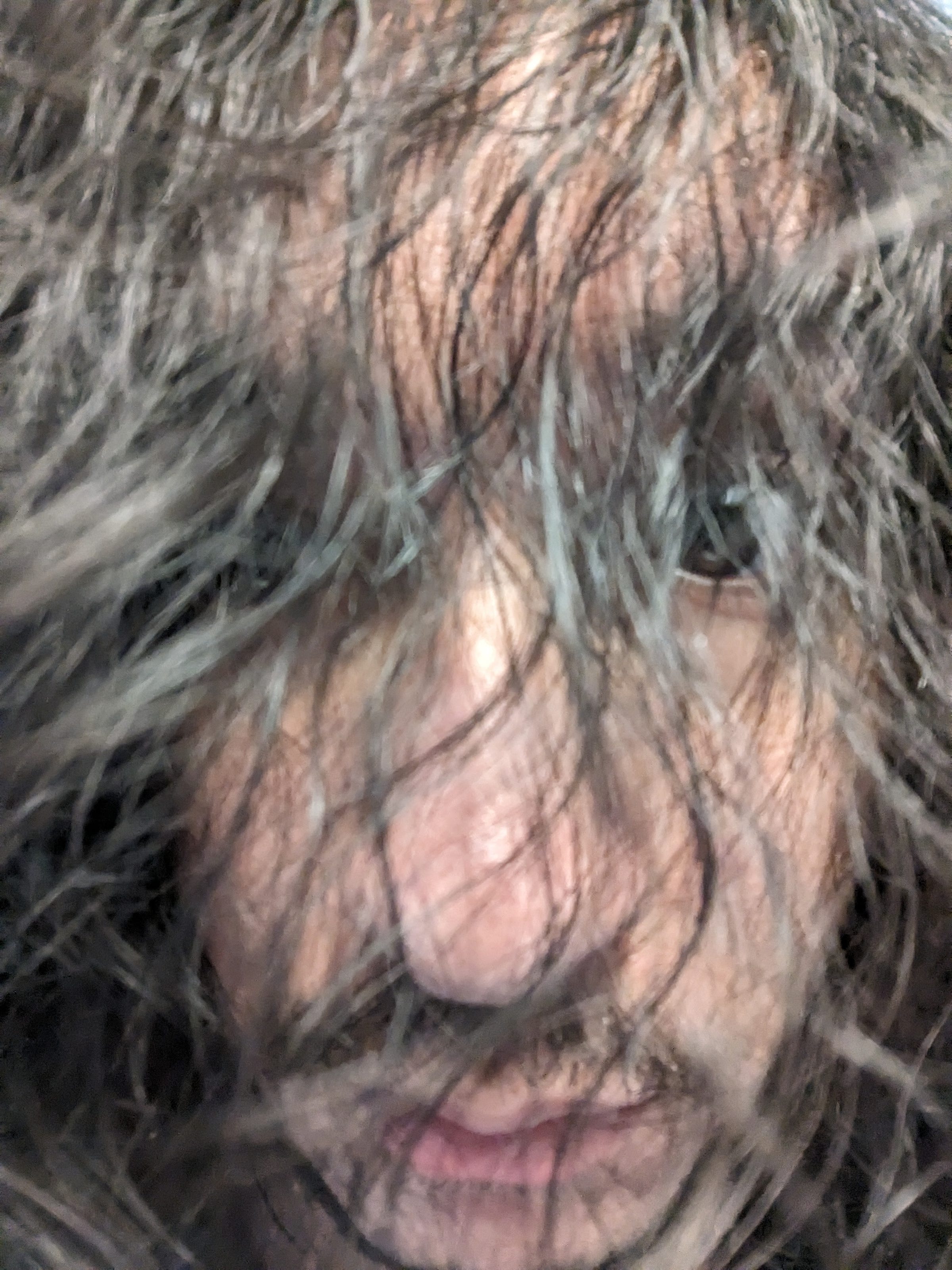 Head Full of Hair – Medium