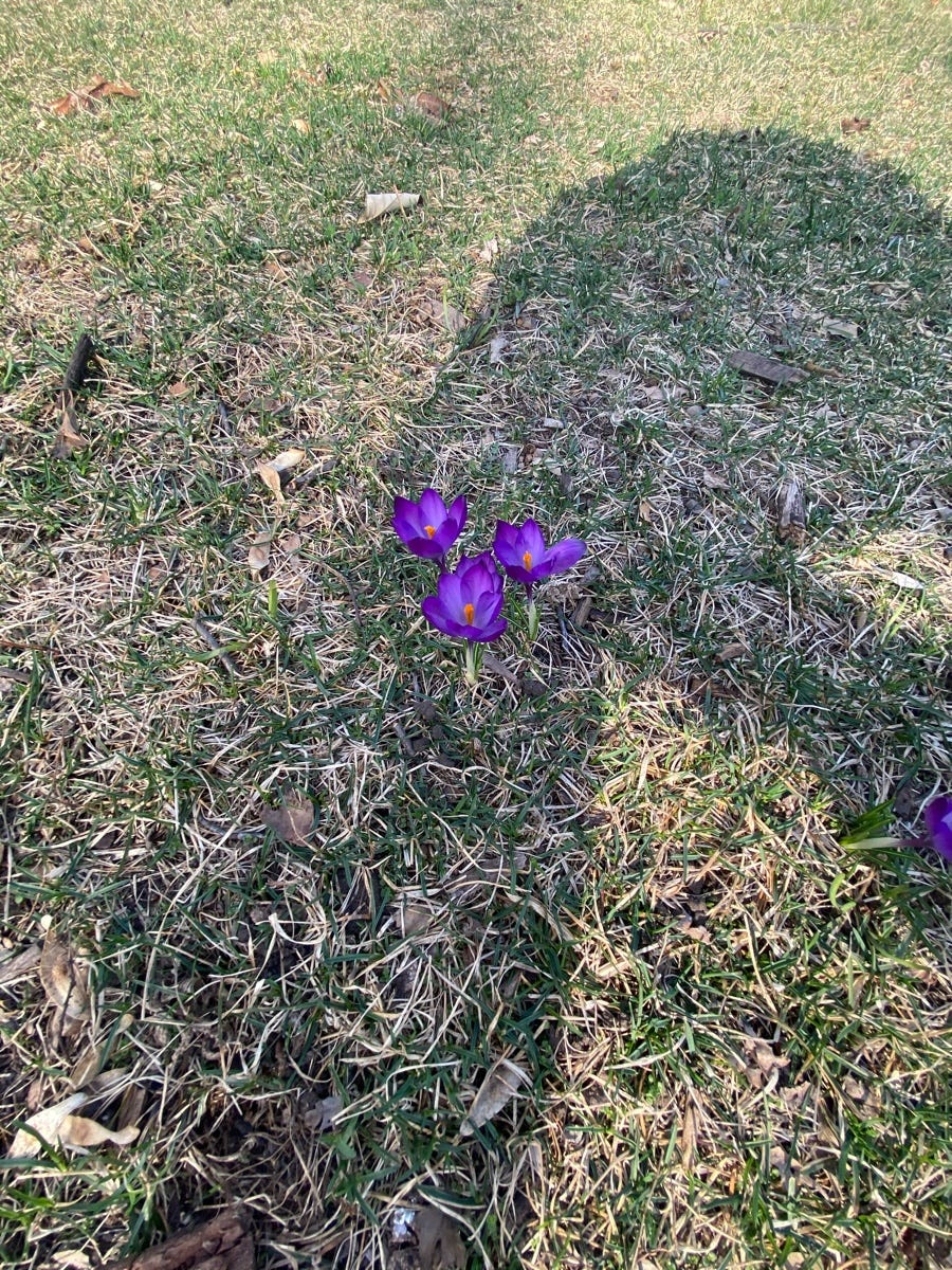 David on Medium curated some lists