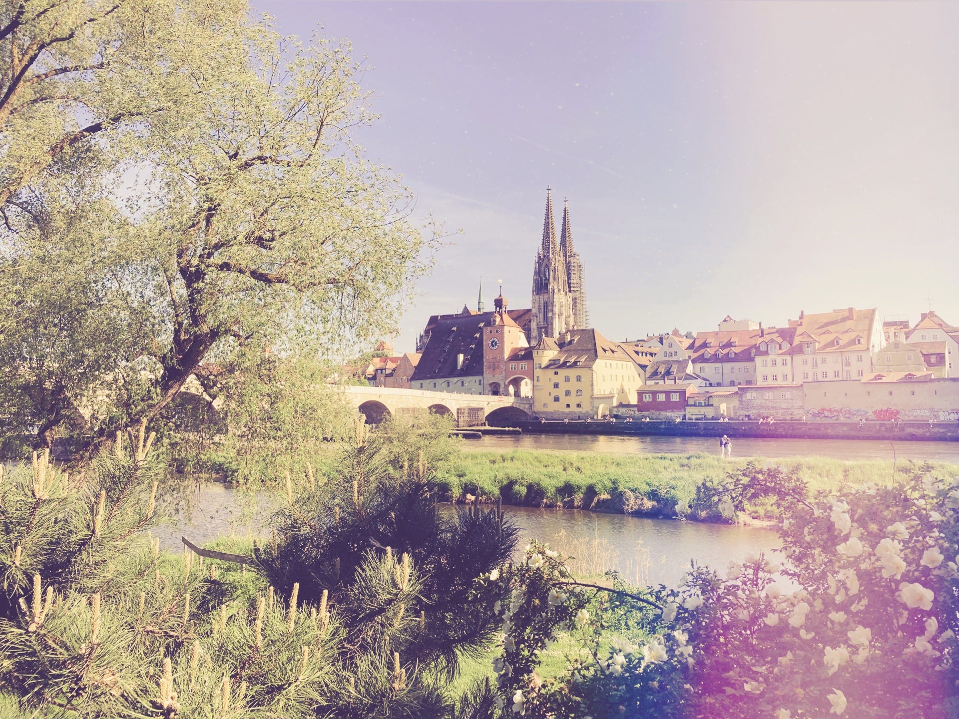 Sarah O'Hern – Medium