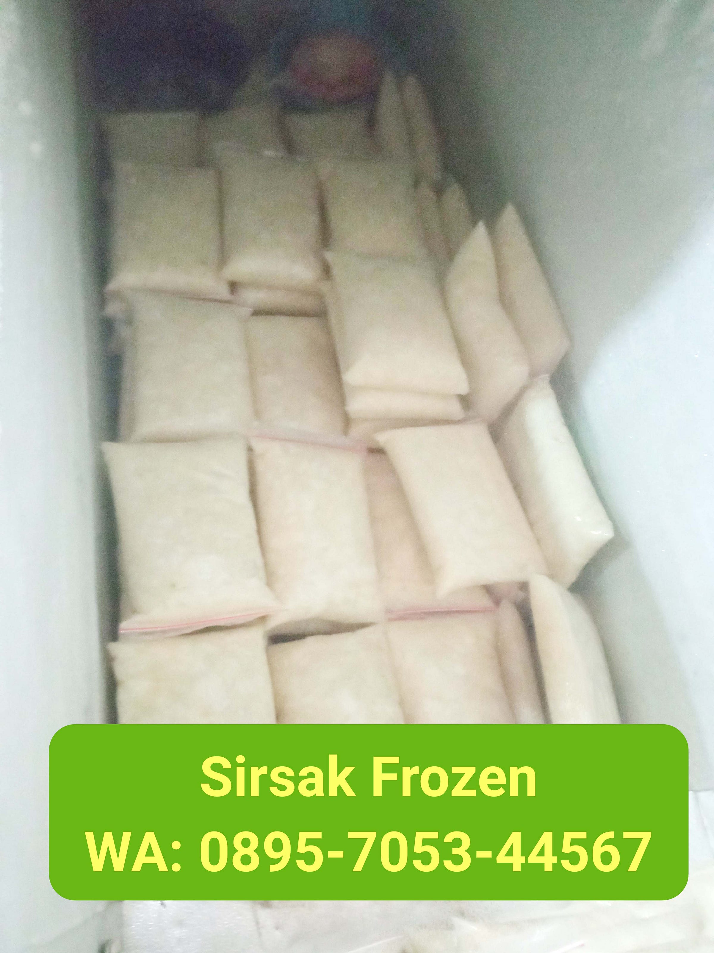 Jual Sirsak Beku di Canggu – Medium