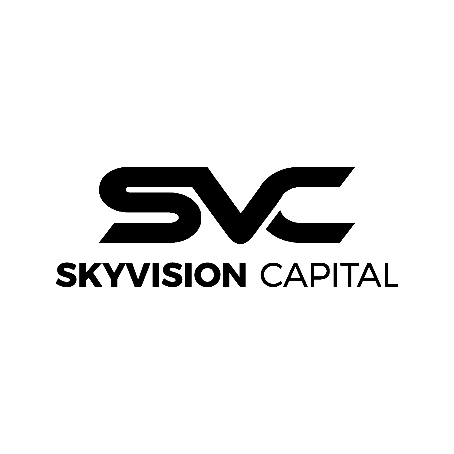 About – SkyVision Capital – Medium