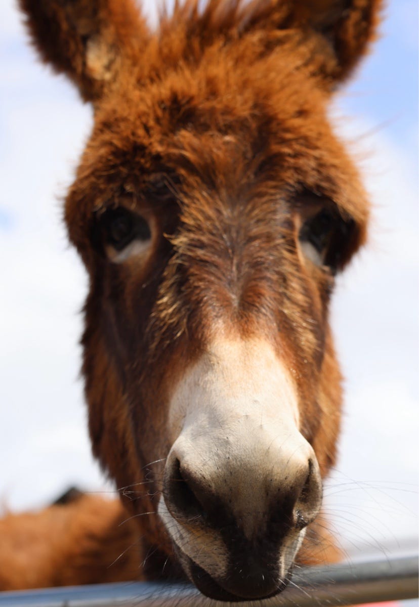 Bob on Medium curated some lists