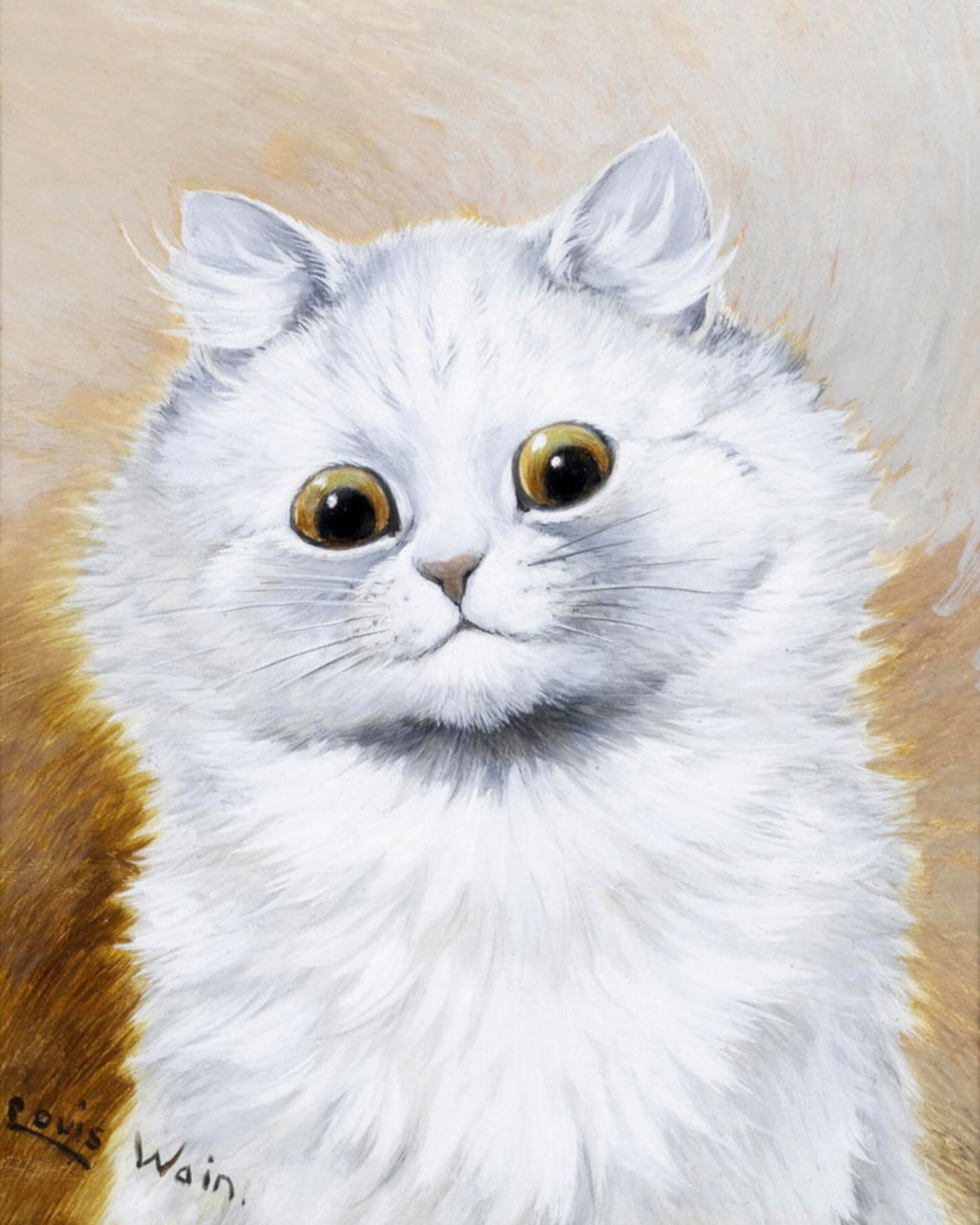 Libertarian Cat – Medium