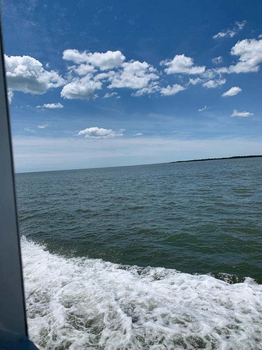 Serenities – Medium