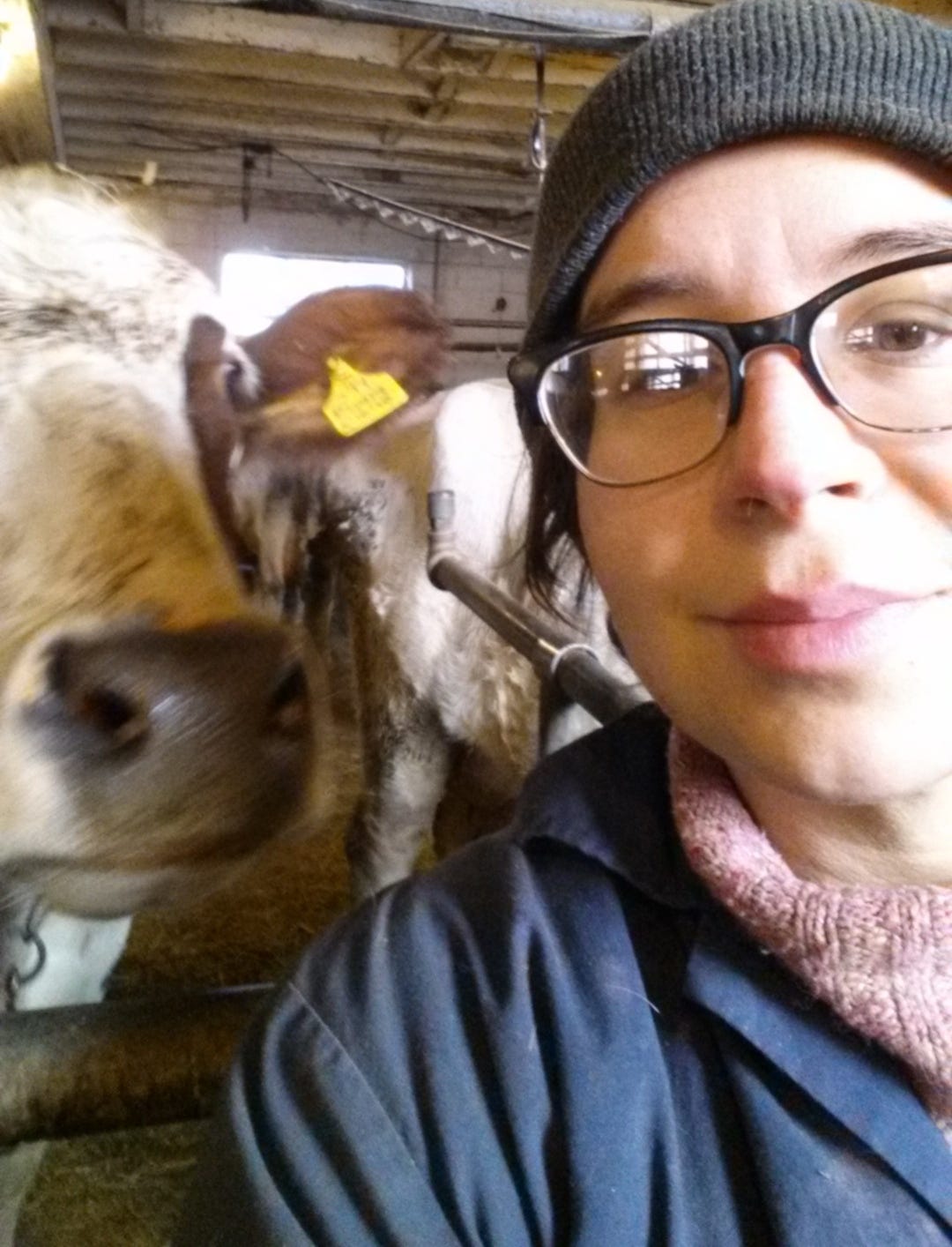 Rebecca Ruth Seidel – Medium